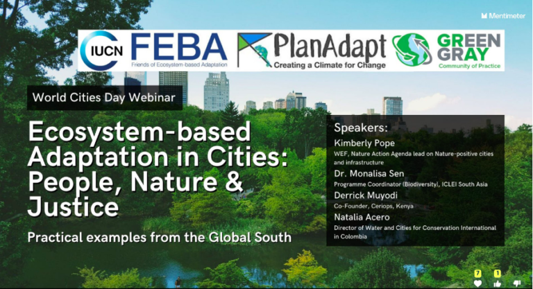 World Cities Day Webinar on Urban Ecosystems-based Adaptation (EbA ...