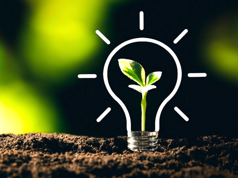 Evaluating and Enhancing Innovation in the Adaptation Fund’s Portfolio ...