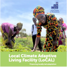 Financing Locally Led Adaptation Action Through International Climate Finance – Putting the ...